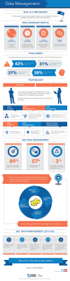 data-management-infographic - The Data Roundtable