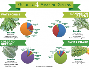 Guide to 4 Amazing Greens - SAS Life
