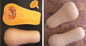 The Wonders of Winter Squash - SAS Life