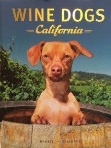 Grape Camp in Sonoma - SAS Life