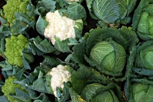 Conquering cruciferous vegetables — learn to love them as much as your ...
