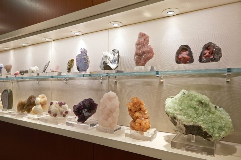 Take a Photo Tour of SAS World Headquarters - SAS Life