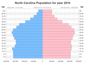 Analyzing age and gender distribution, with a pyramid chart ...