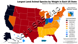 What's the largest animal in each U.S. state? - Graphically Speaking