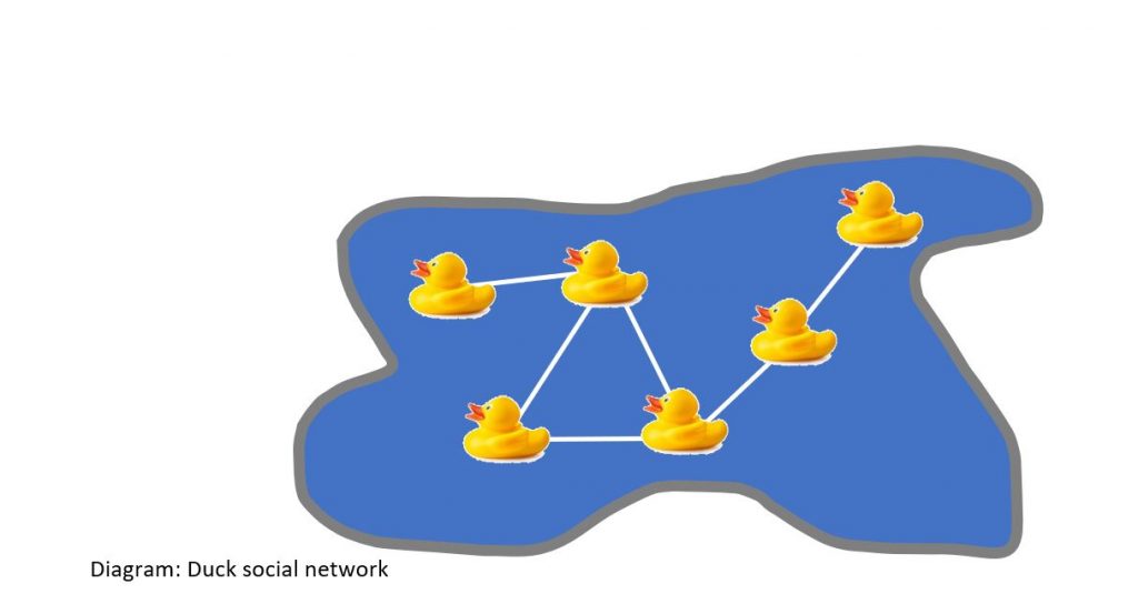 Ducks and Fraudsters - Hidden Insights