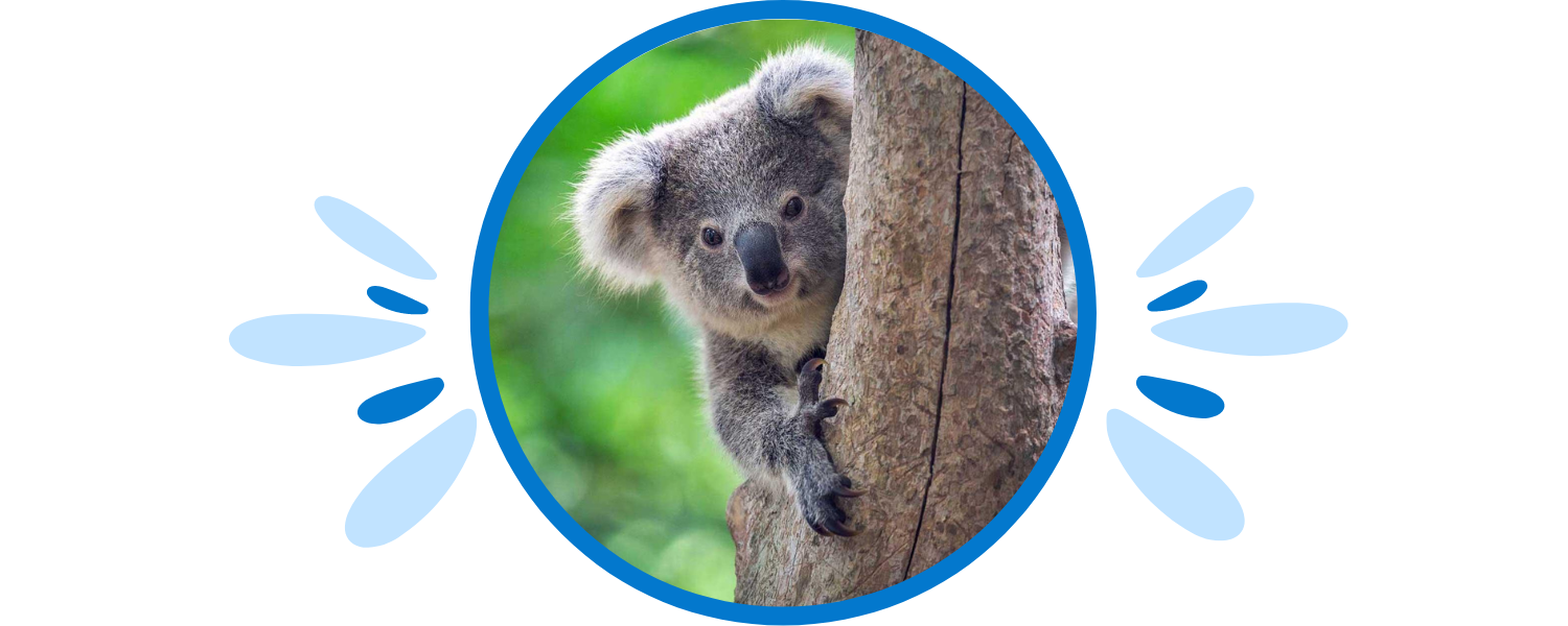 Predicting The Uncontrollable Using Ai To Help Prevent Flooding 0988