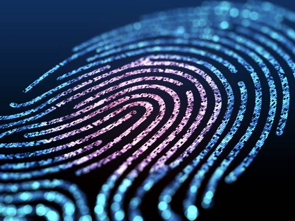 Inclusivity: A guiding principle for responsible innovation - SAS Voices