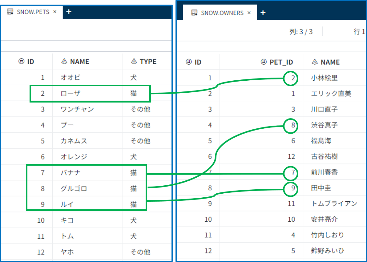 SASのIn-Database機能のご紹介 - SAS Japan