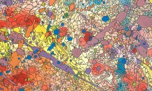 Can you name all the SAS colors? - SAS Learning Post