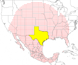 Using Texas as a unit of measure - SAS Learning Post