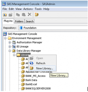 Setting up DBMS servers - SAS Users Groups