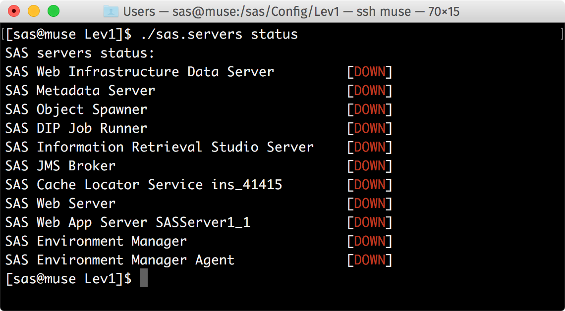 Making the sas.servers script look pretty - SAS Users