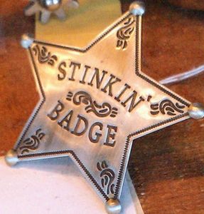 stinking badge - SAS Users