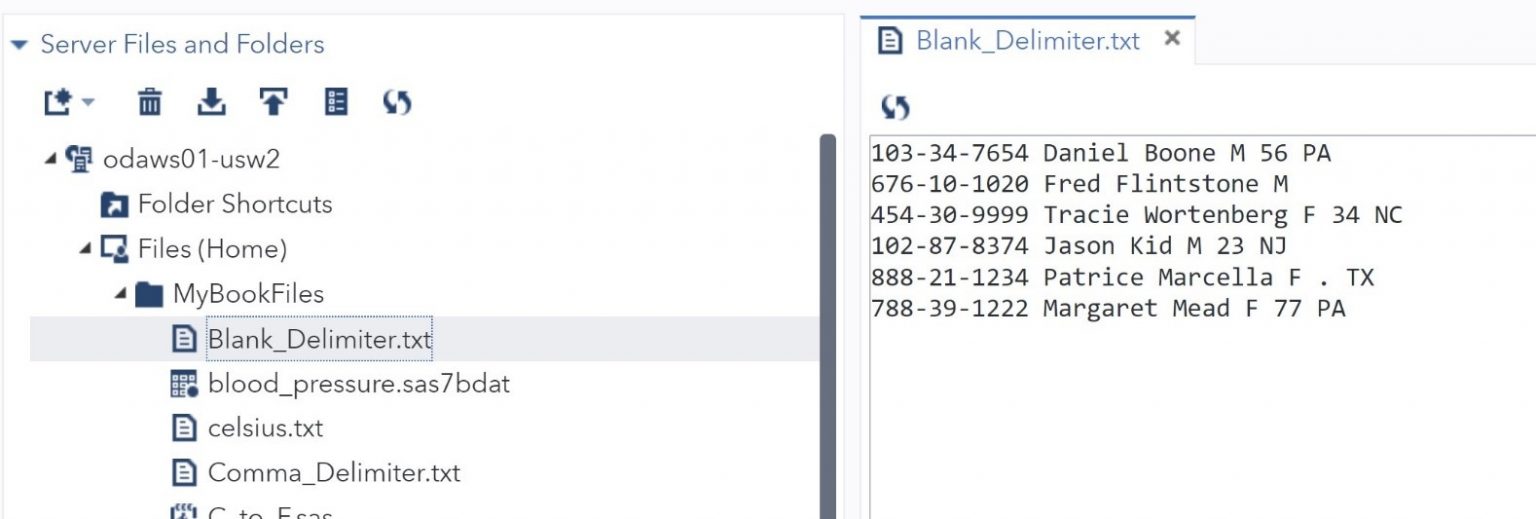 Viewing files, programs, and data sets in SAS Studio - SAS Users