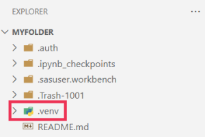 How to create and manage Python Virtual Environments - SAS Users