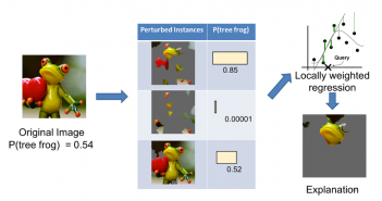 Improving model interpretability with LIME - The SAS Data Science Blog