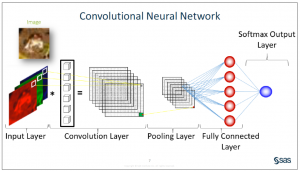 Convolutional Neural Networks: Briefly - The SAS Data Science Blog