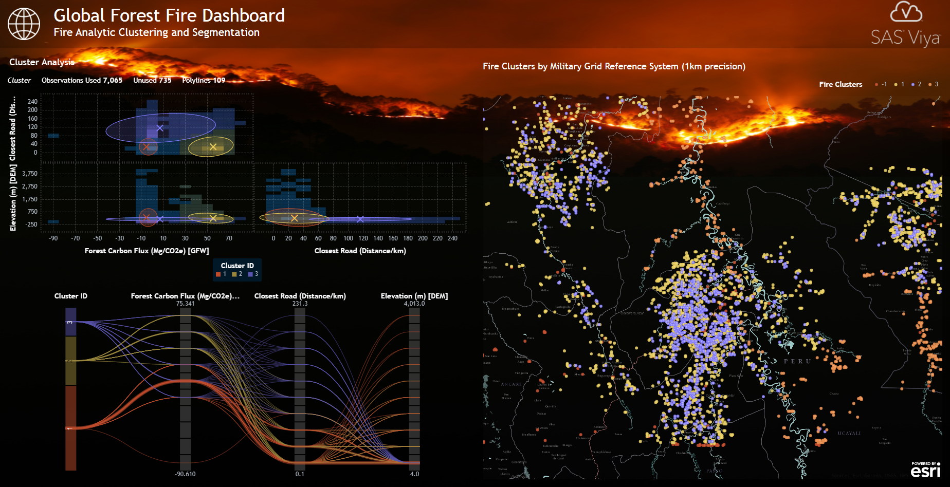 Fighting the Amazon forest fires with advanced analytics - The SAS Data ...