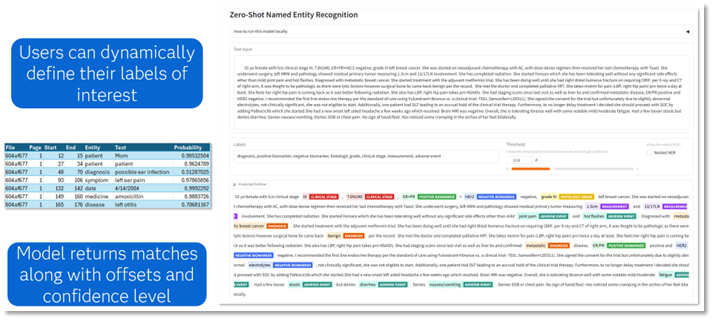 The rise of small language models for information extraction - The SAS ...
